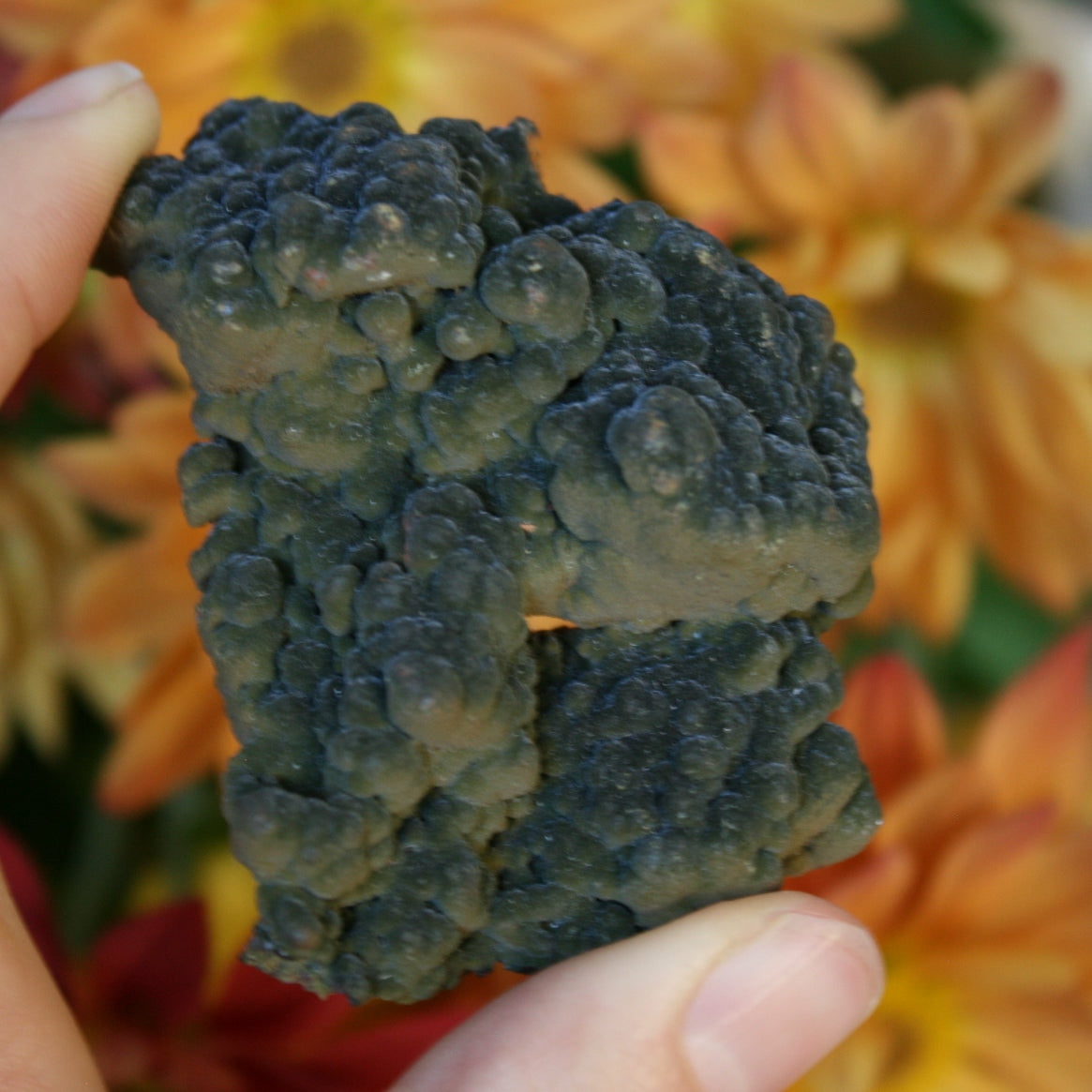 Mottramite Specimen, 71.3 grams - Hands of Spirit